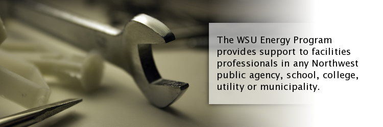 WSU Energy Program > Home